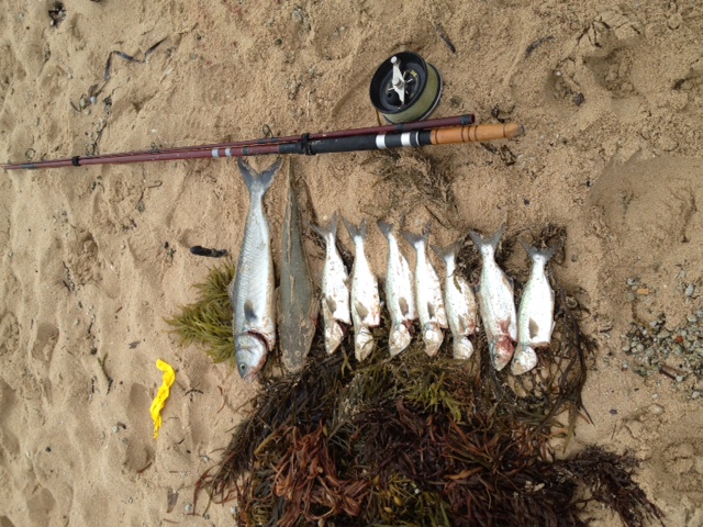 Cronulla Fishing Session - Fishing Reports - DECKEE Community