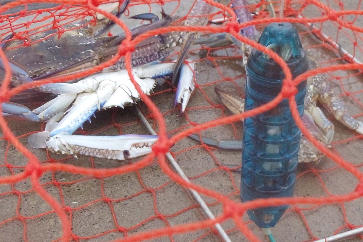Mud Crab Traps and Bait Holders - Fishing Chat - DECKEE Community