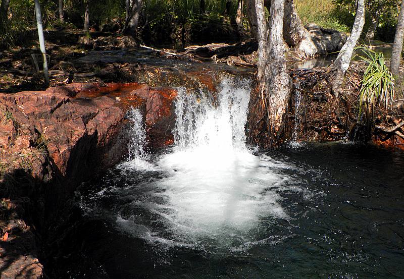 Scenic Darwin - General Photos - DECKEE Community