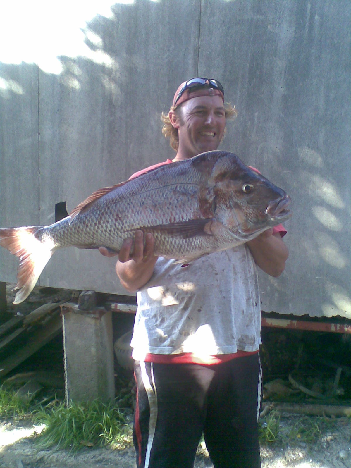 Foster Snapper - Fishing Reports - DECKEE Community