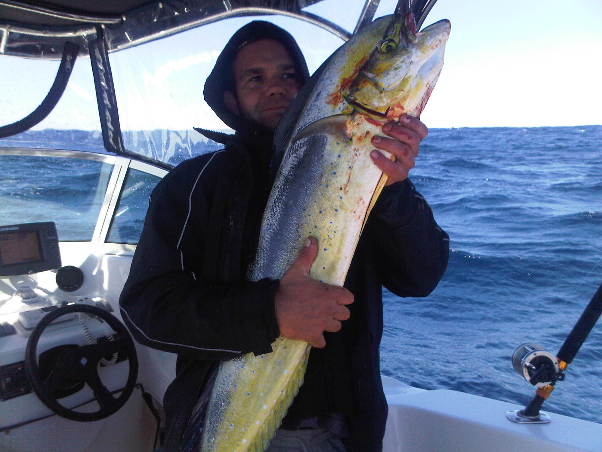 Dolphin Fish - Fishing Reports - DECKEE Community