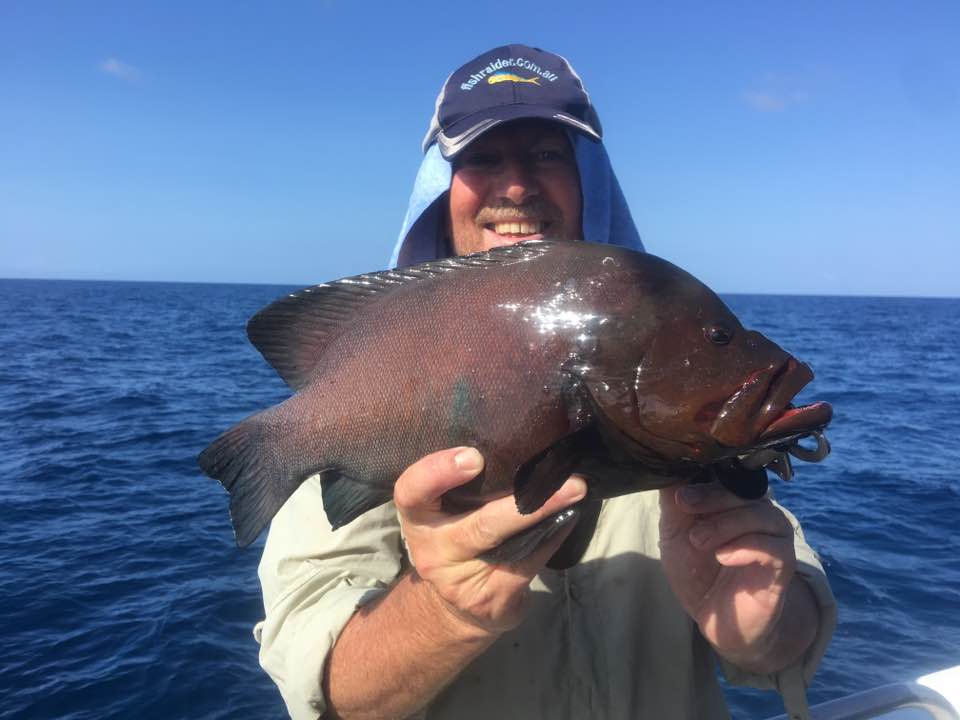 TOMATO MOUTHED BLACK GROUPER 46cms - Bait Fishing Records - DECKEE ...