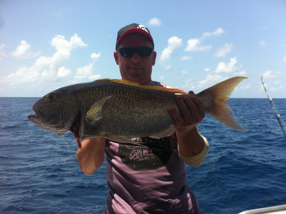 GOLD BAND SNAPPER 75cms - Bait Fishing Records - DECKEE Community