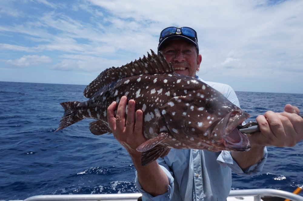 COD (RANKIN) 60cms - Bait Fishing Records - DECKEE Community