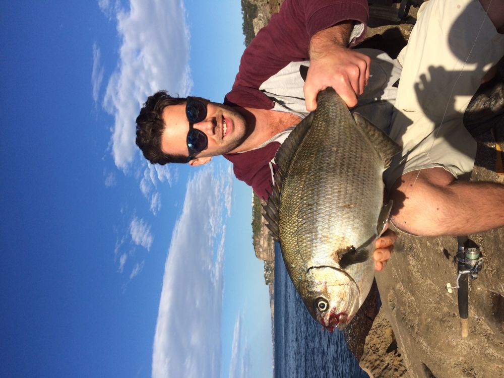 Is this an estuary cod? - Fishing Reports - DECKEE Community