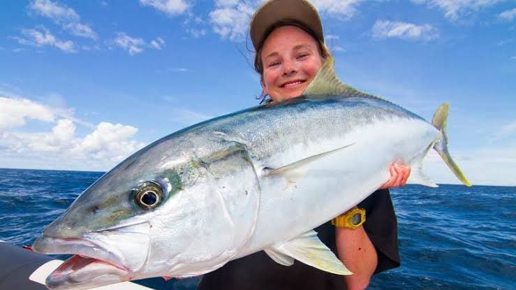 What Line Is Best For Live Baiting, Trolling For Kings, Mahi Mahi And ...
