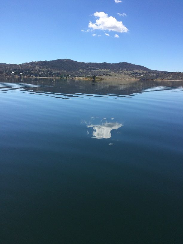 Jindabyne Fishing Club Christmas comp - Fishing Reports - DECKEE Community