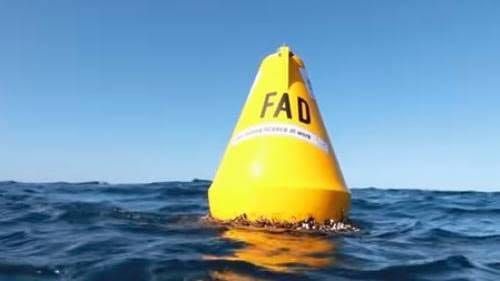 NEW FAD DEPLOYMENTS South Coast - Boating - DECKEE Community