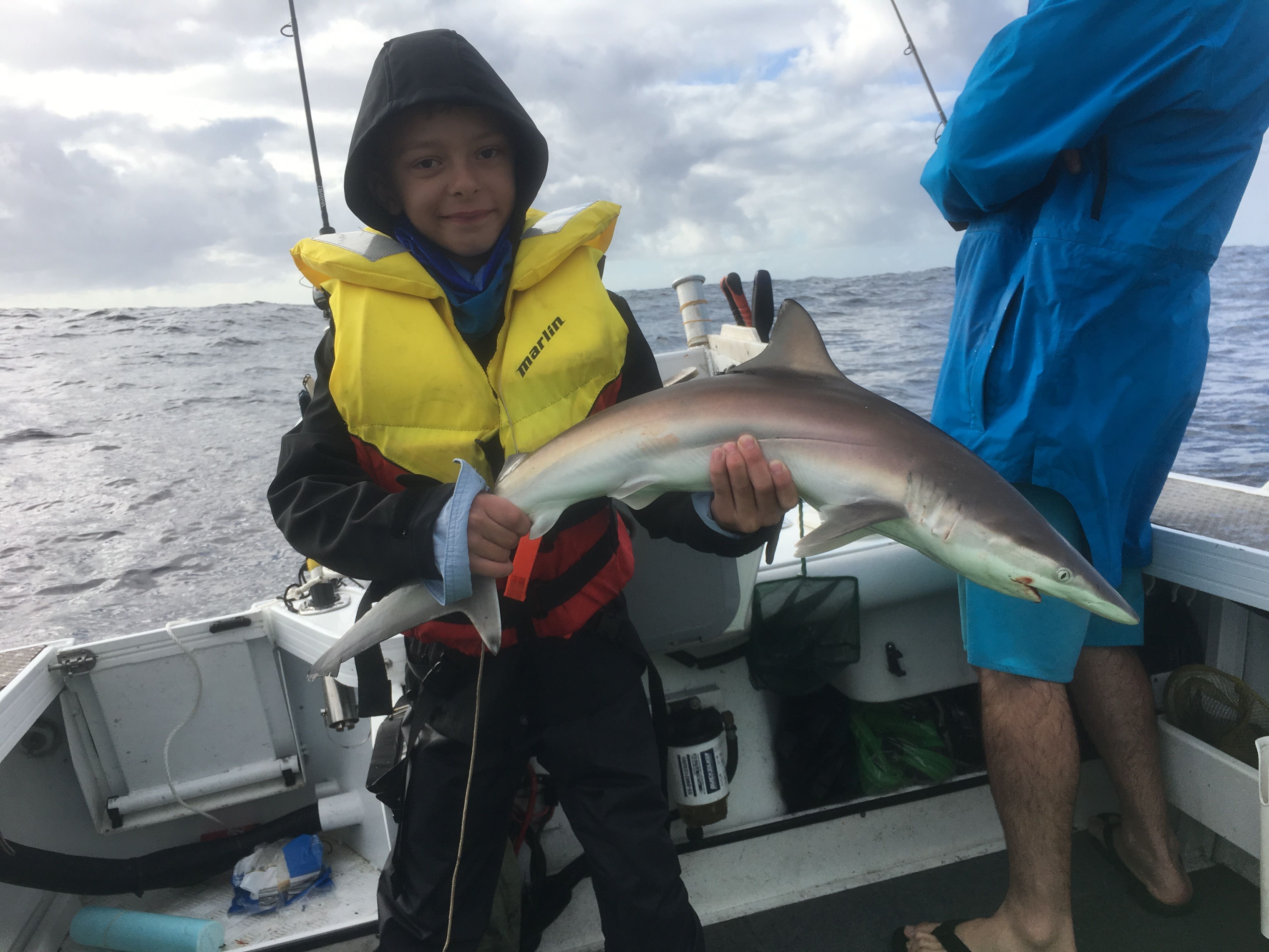 Spotted Mackerel vs Kingfish - Fishing Reports - DECKEE Community