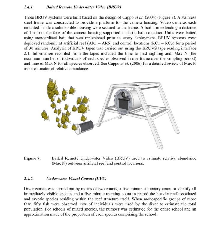 Snapper Fishing Ban Mooted for South Australia - Fisheries News and ...