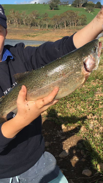 Good Day Out on Oberon Dam - Fishing Reports - DECKEE Community