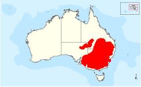 ARTICLE - MURRAY COD - Articles - Fishraider