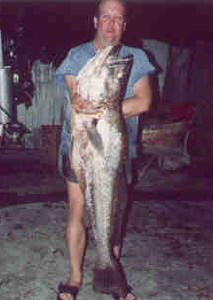 ARTICLE - How to catch JEWFISH (Mulloway) - Articles - DECKEE Community