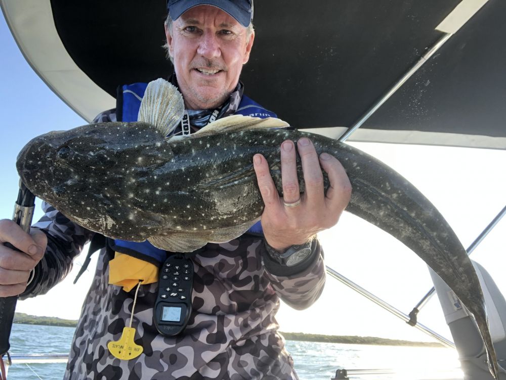 Couple of trips over the weekend....nice flatty saved the day today ...