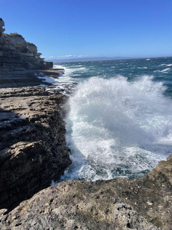 Mermaids inlet - Fishing Reports - DECKEE Community