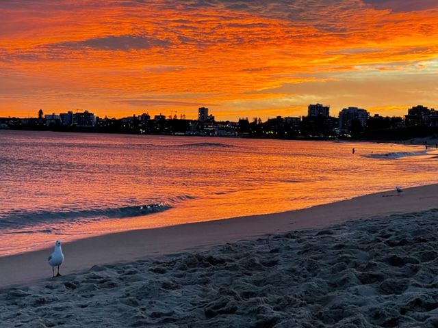 Cronulla beach fishing - Fishing Reports - DECKEE Community
