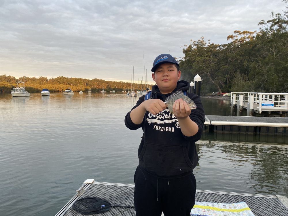 Roadtrip Day 1- Jervis Bay - Fishing Reports - DECKEE Community