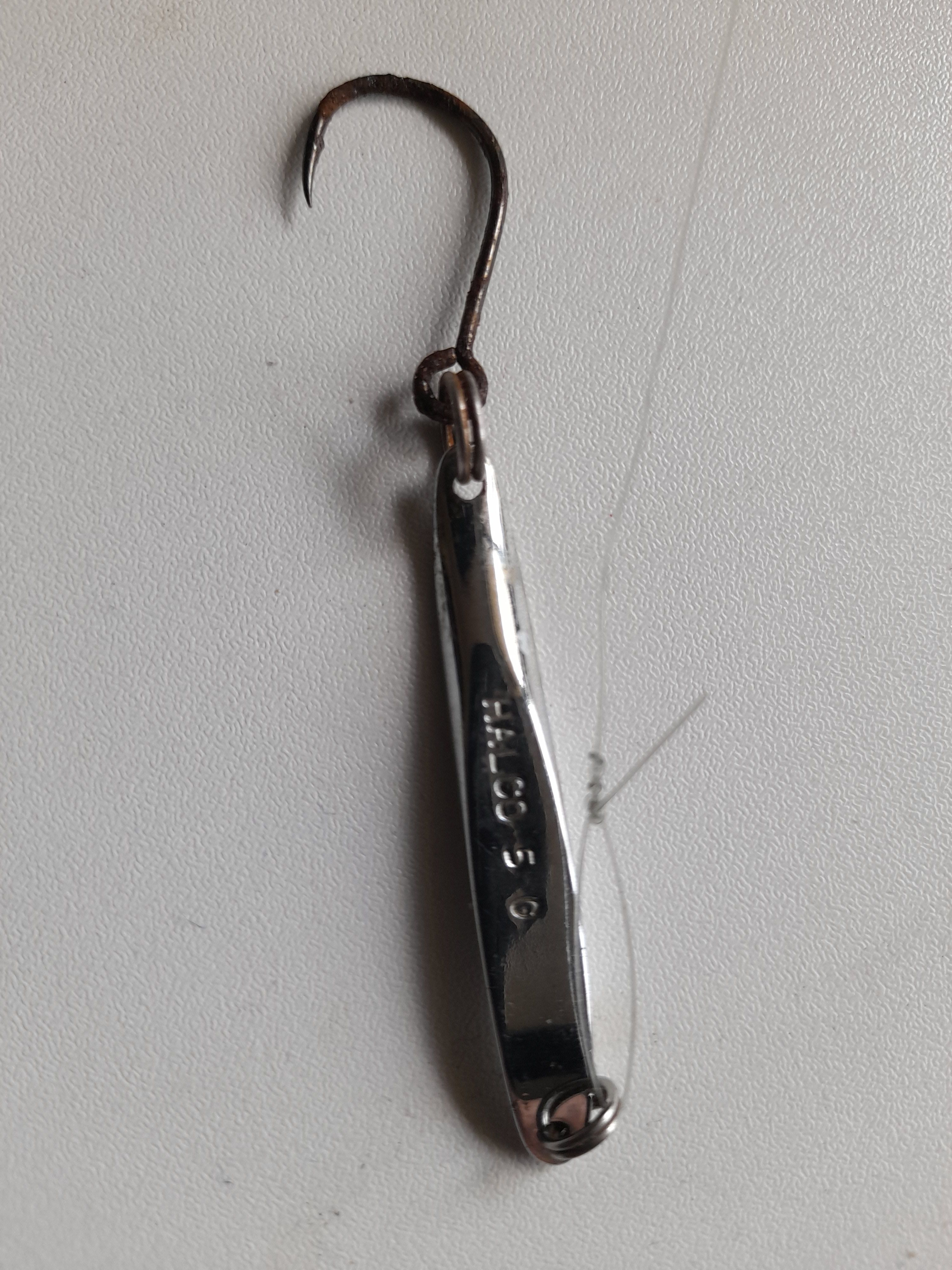 First dollies of the season - Fishing Reports - DECKEE Community