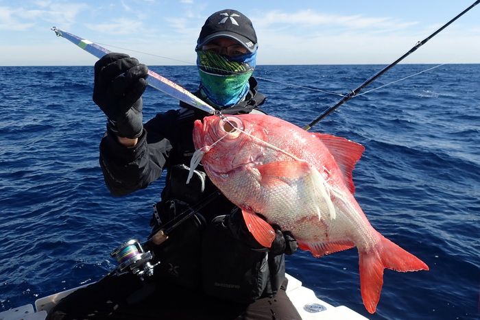 Alfonsino - Lure Fishing Records - DECKEE Community