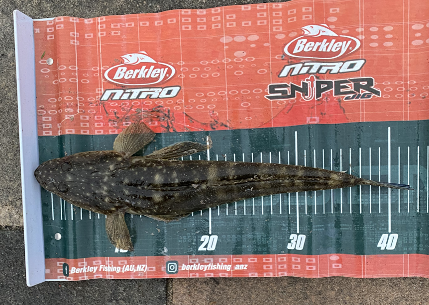 A couple of flatties - Saltwater Fishing Reports - DECKEE Community