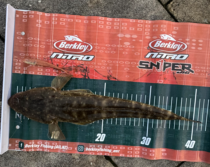A couple of flatties - Saltwater Fishing Reports - DECKEE Community