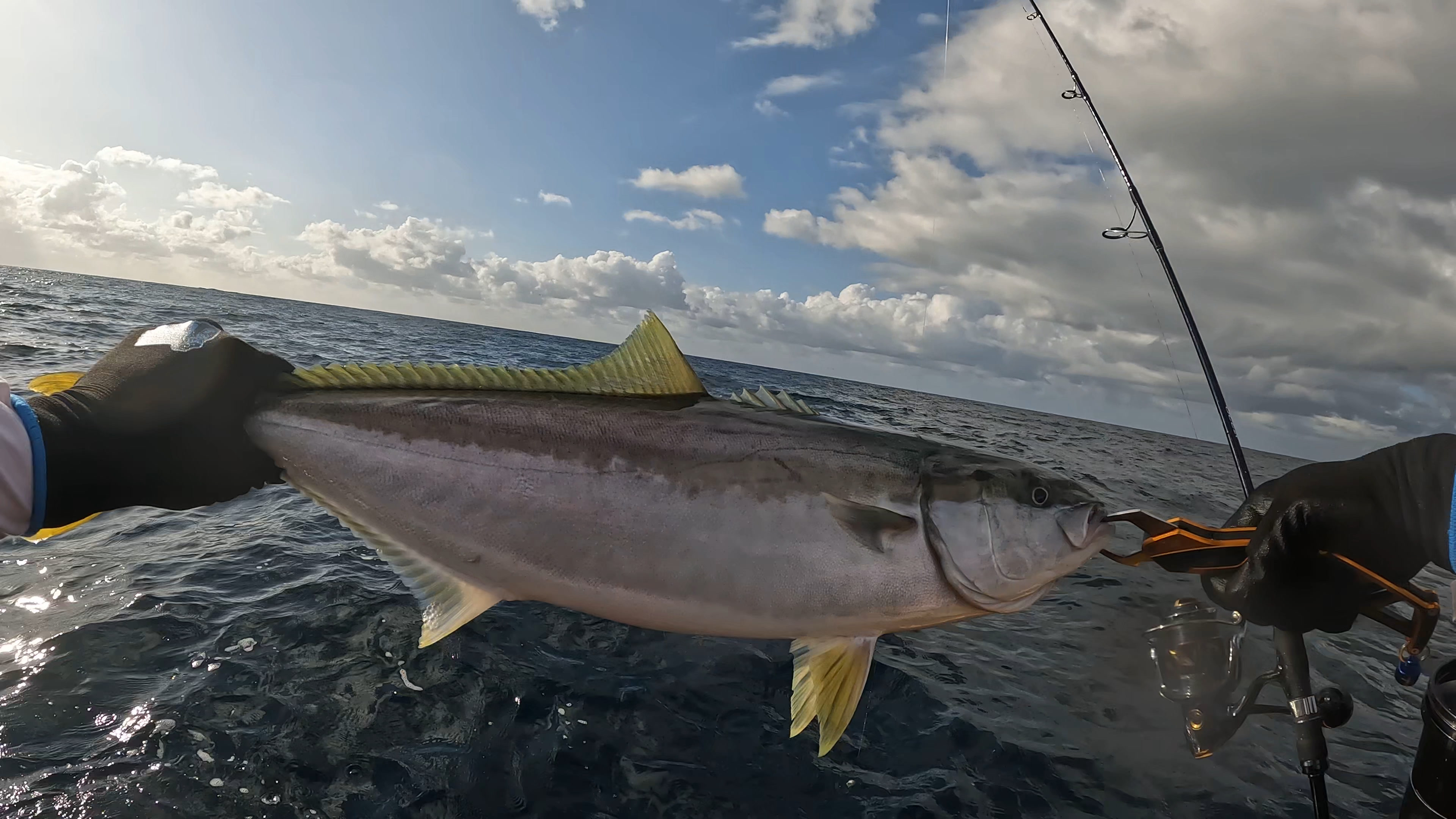 Kingfish Bate Bay - Saltwater Fishing Reports - DECKEE Community