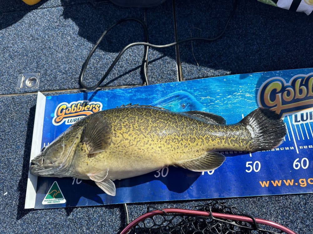 Windermere dam trip - Freshwater Fishing Reports - DECKEE Community