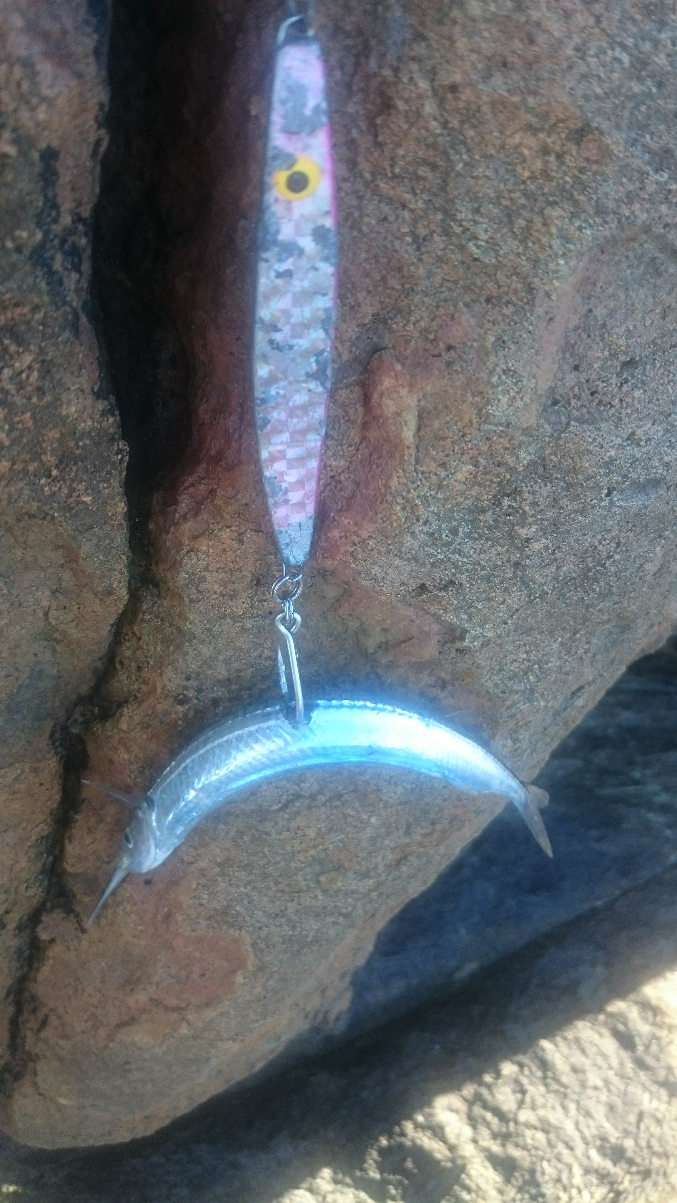 Targeting garfish - Saltwater Fishing Chat - DECKEE Community