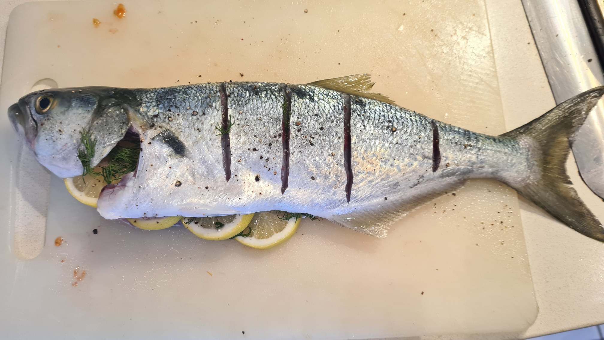 Tailor catch and cook - Saltwater Fishing Reports - DECKEE Community
