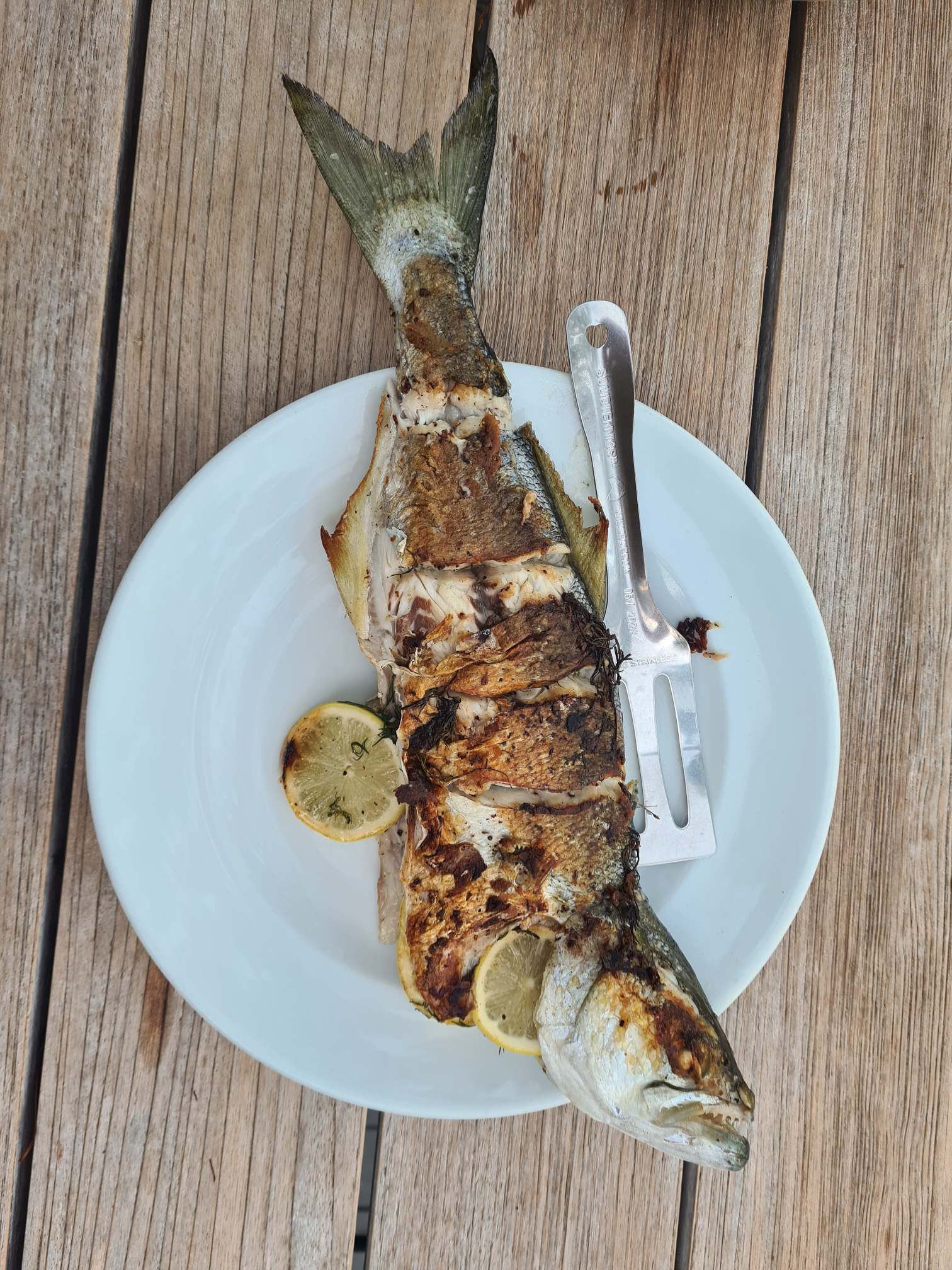 Tailor catch and cook - Saltwater Fishing Reports - DECKEE Community