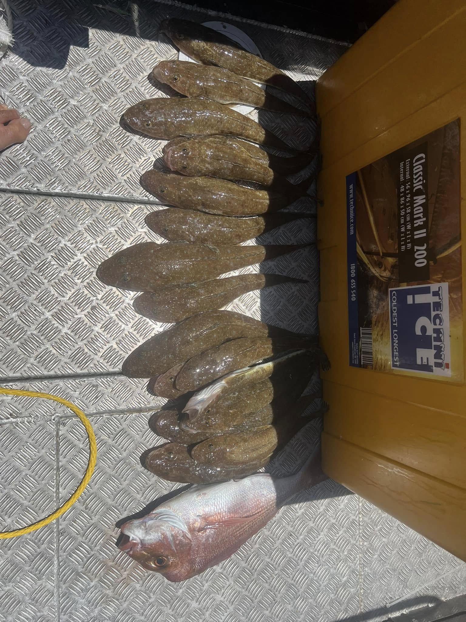 Fishing of Maroubra - Saltwater Fishing Reports - DECKEE Community