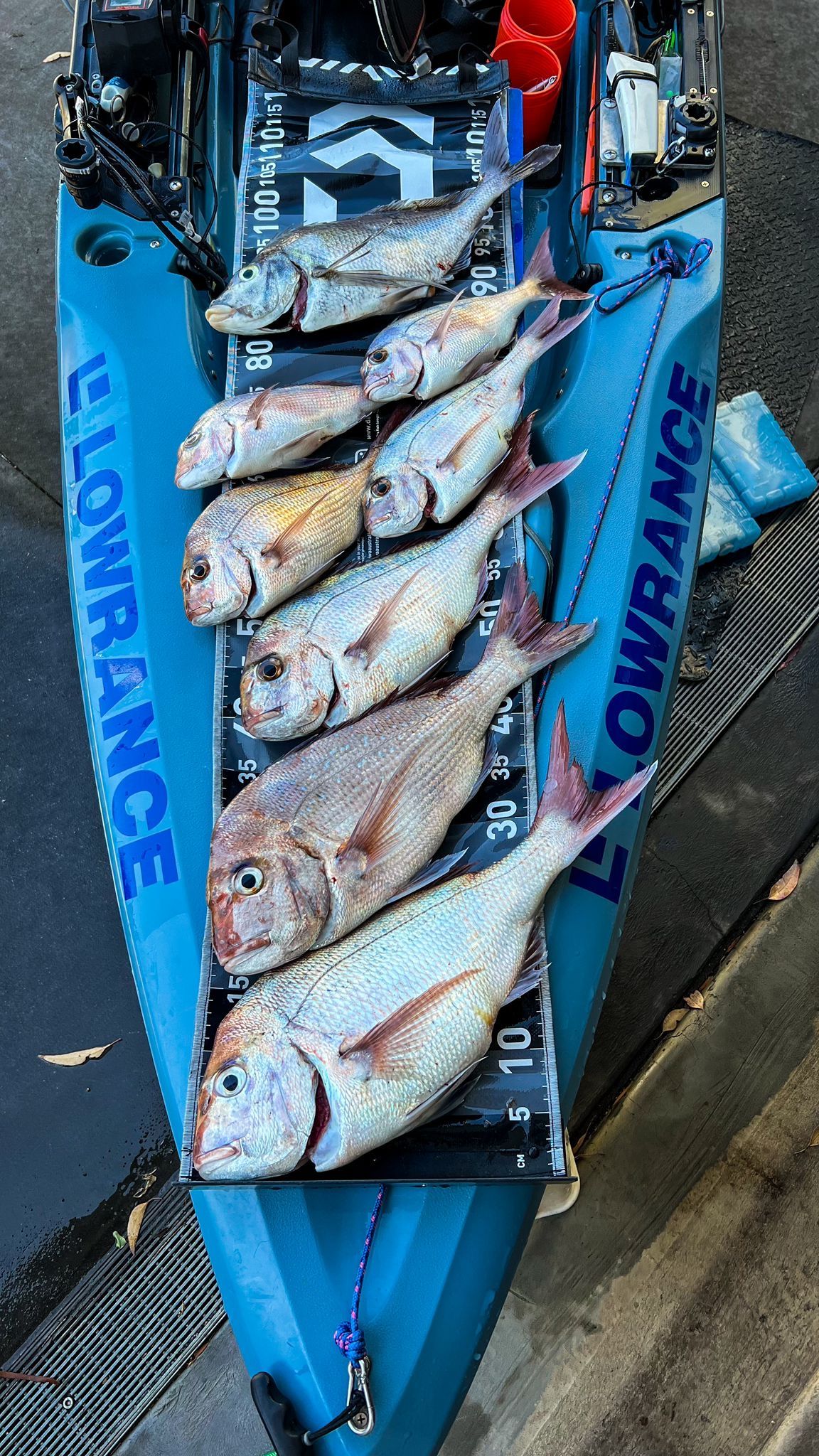 Long Reef Snapper - Saltwater Fishing Reports - DECKEE Community