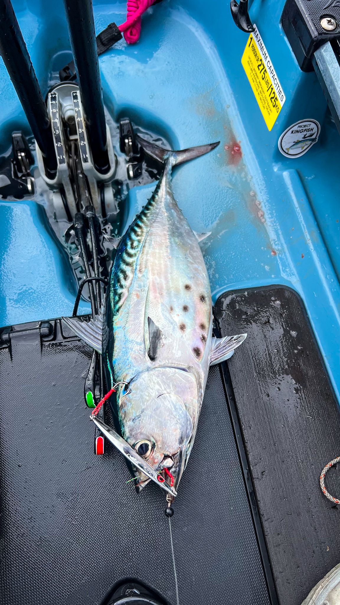Long Reef Snapper - Saltwater Fishing Reports - DECKEE Community