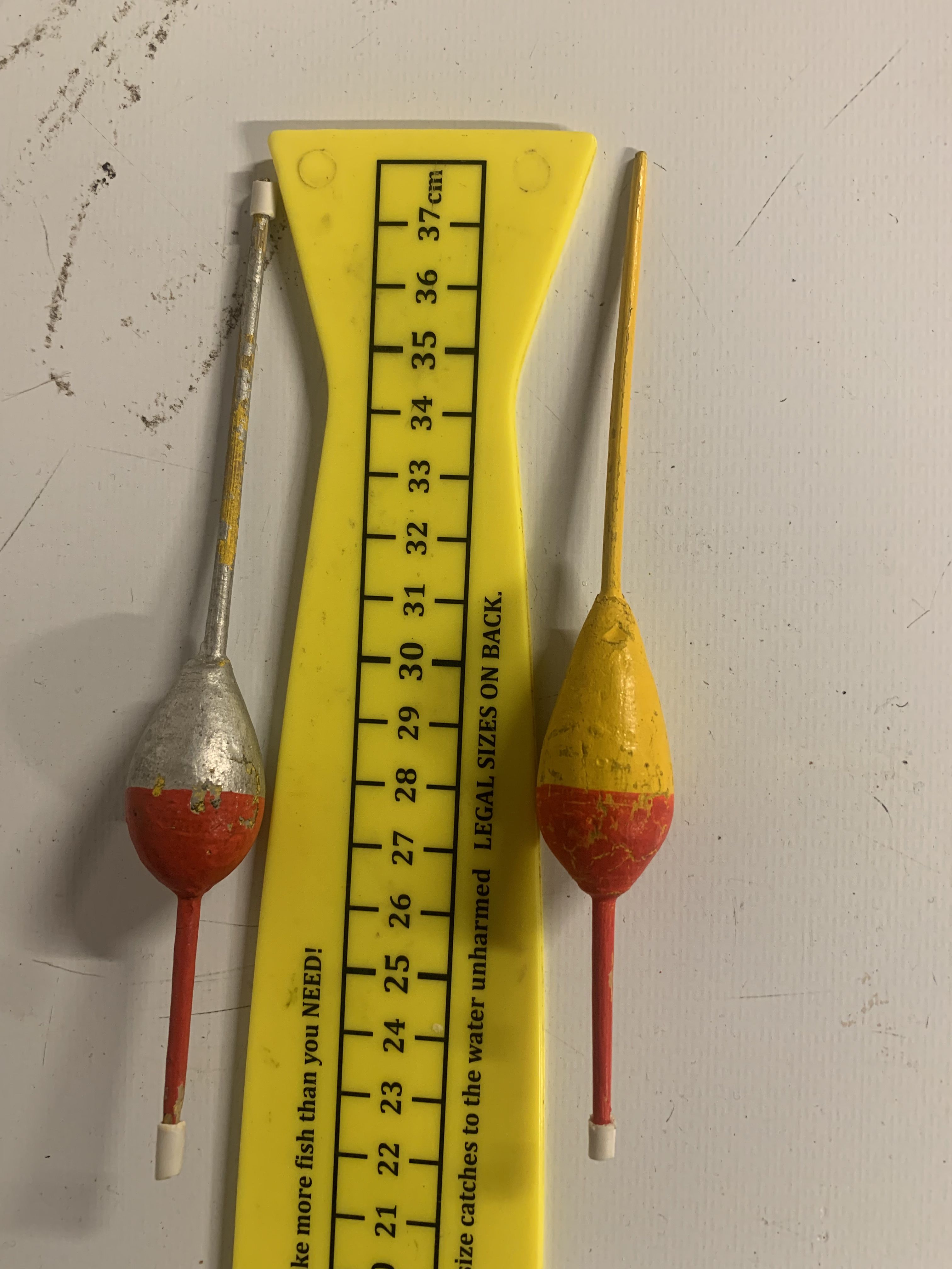 Boxing day teamwork luderick with fishraiders - Saltwater Fishing ...