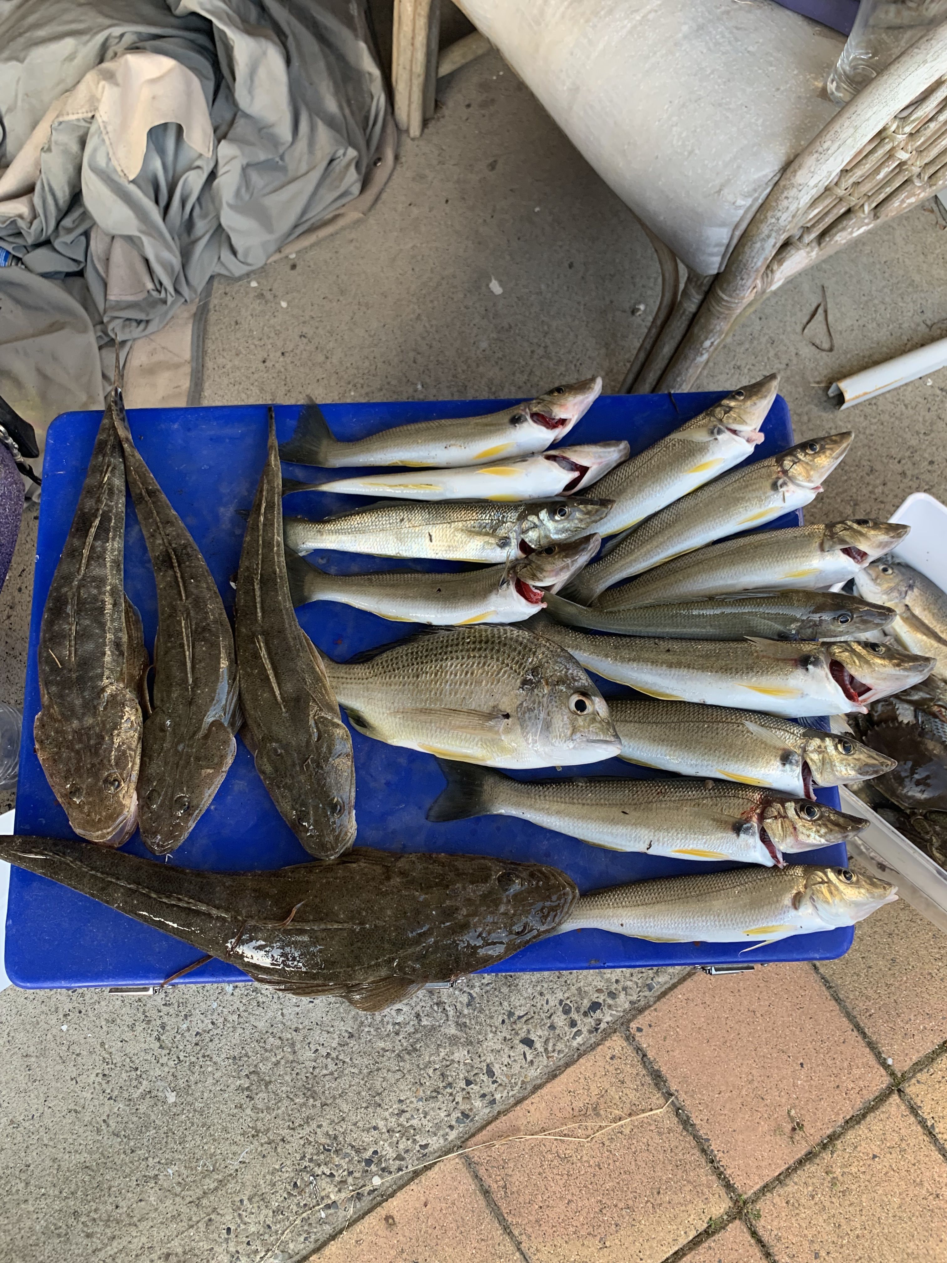 Week at swr - Saltwater Fishing Reports - DECKEE Community Week at swr - Saltwater Fishing Reports - DECKEE Community