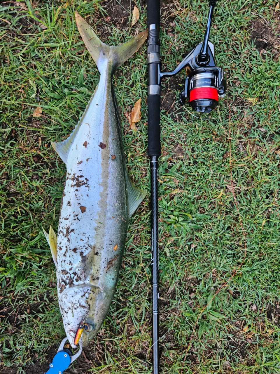 Finally first king - Saltwater Fishing Reports - DECKEE Community