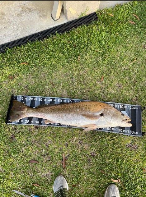 Converted one mans snagged lures into my treasure!!! - Saltwater ...