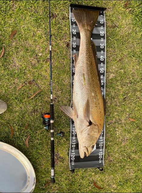 Converted one mans snagged lures into my treasure!!! - Saltwater ...