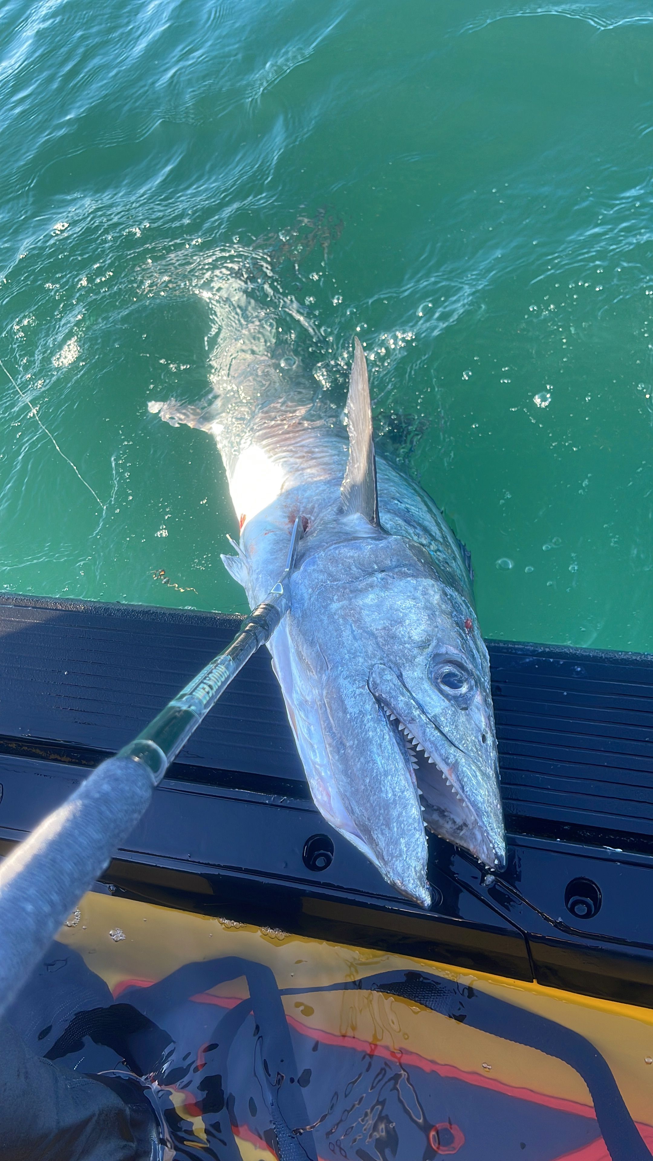 Spanish Mackerel - JetSki Fishing South West Rocks NSW - Gamefishing ...