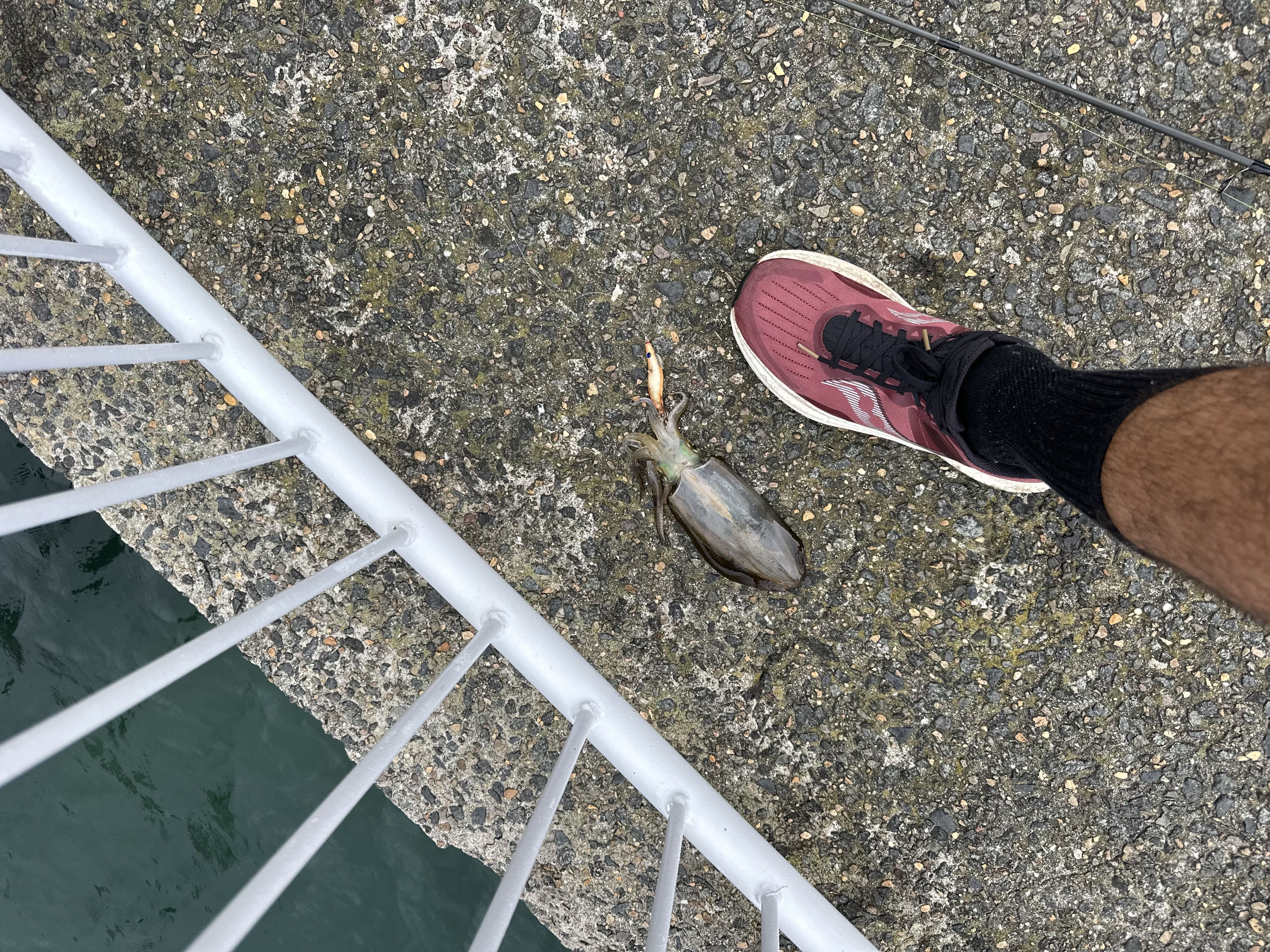 My Lure Fishing Breakthrough - Saltwater Fishing Reports - DECKEE Community