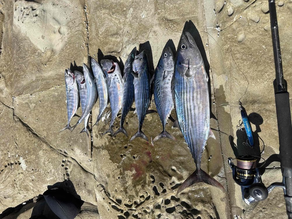 My Lure Fishing Breakthrough - Saltwater Fishing Reports - DECKEE Community