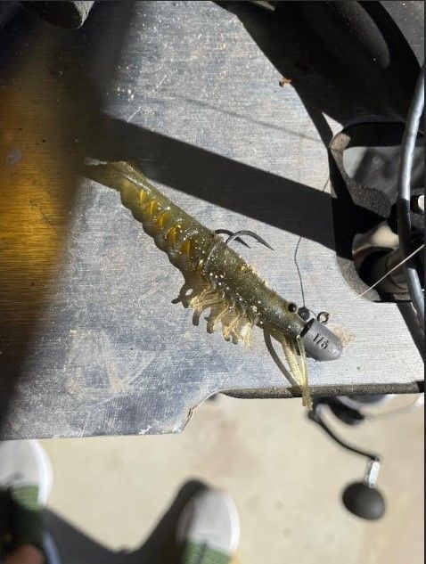 Converted one mans snagged lures into my treasure!!! - Saltwater ...