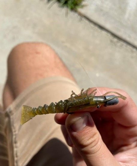 Converted one mans snagged lures into my treasure!!! - Saltwater ...