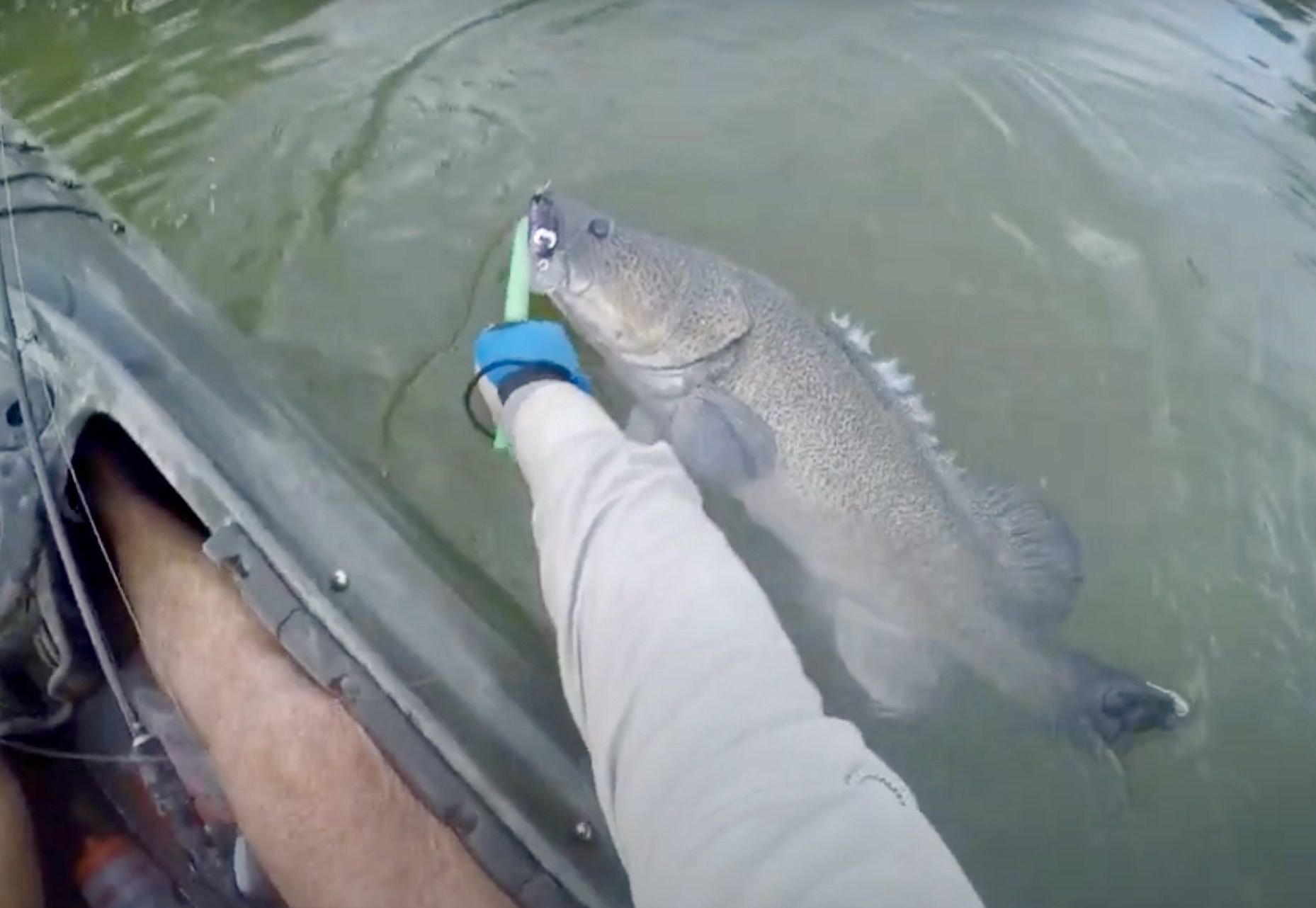 For The Cod Botherers!! - Freshwater Fishing Reports - DECKEE Community