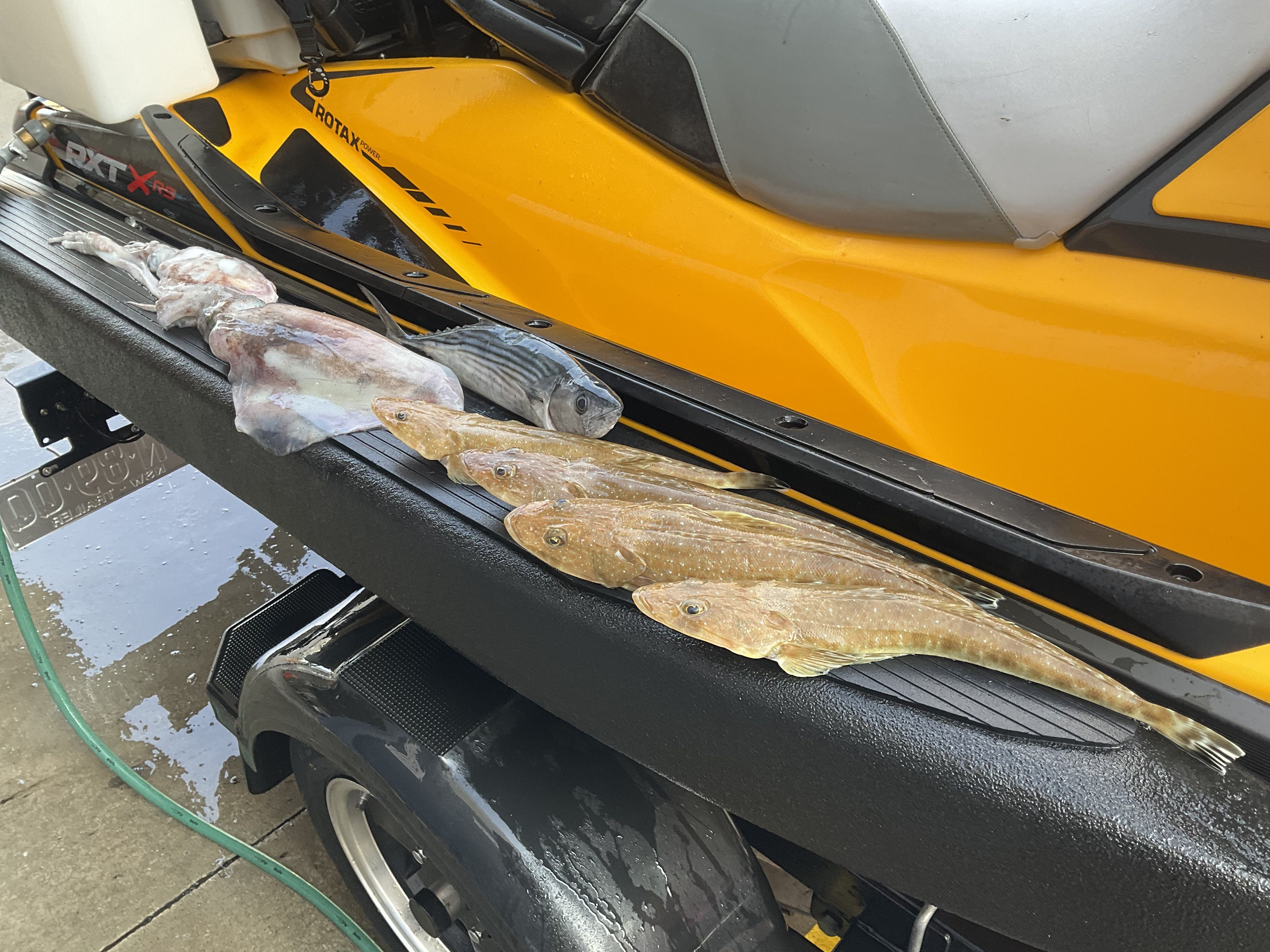 Cronulla to Marley - Saltwater Fishing Reports - DECKEE Community