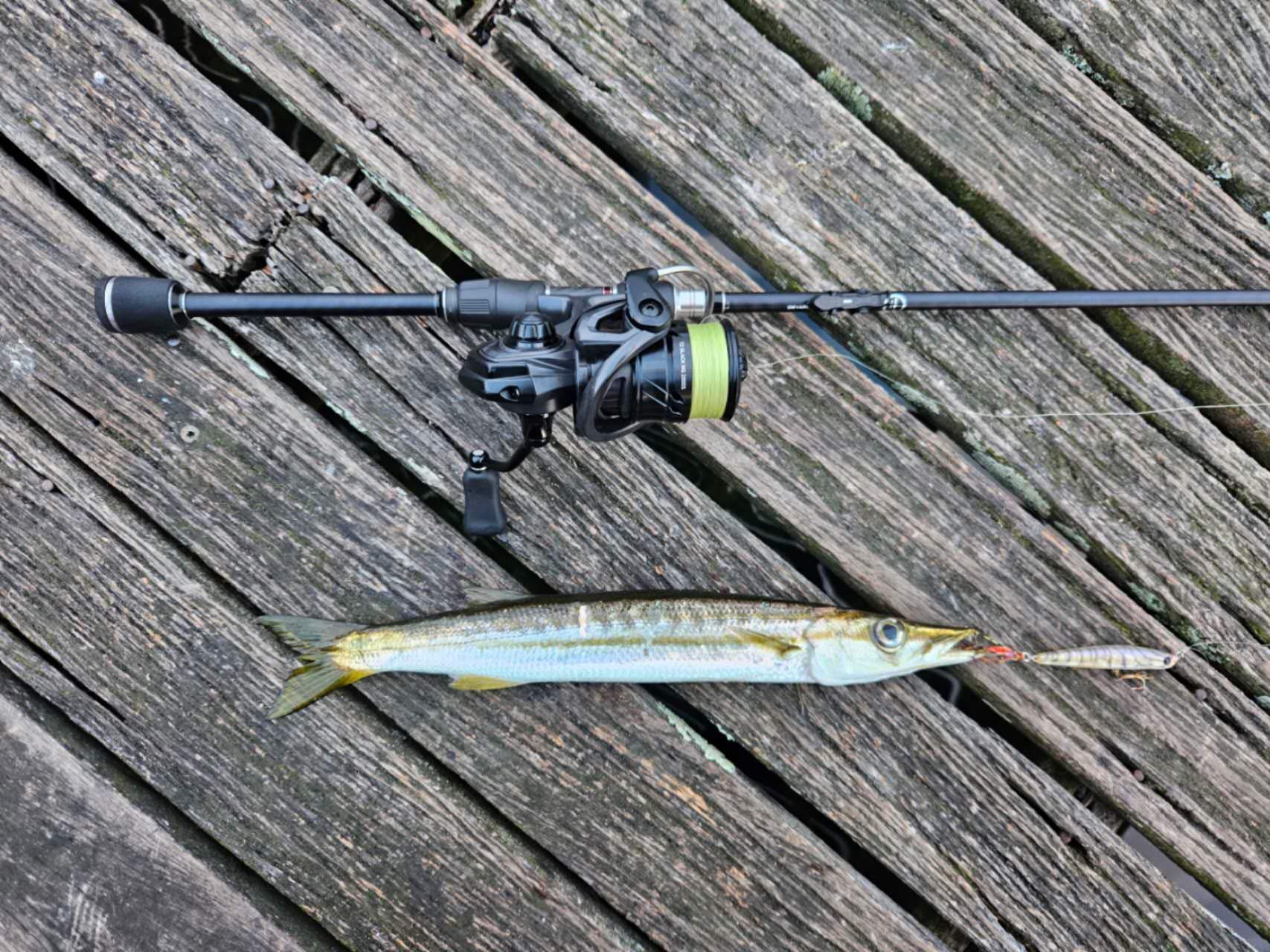 Some entertainments at Northbridge - Saltwater Fishing Reports - DECKEE ...