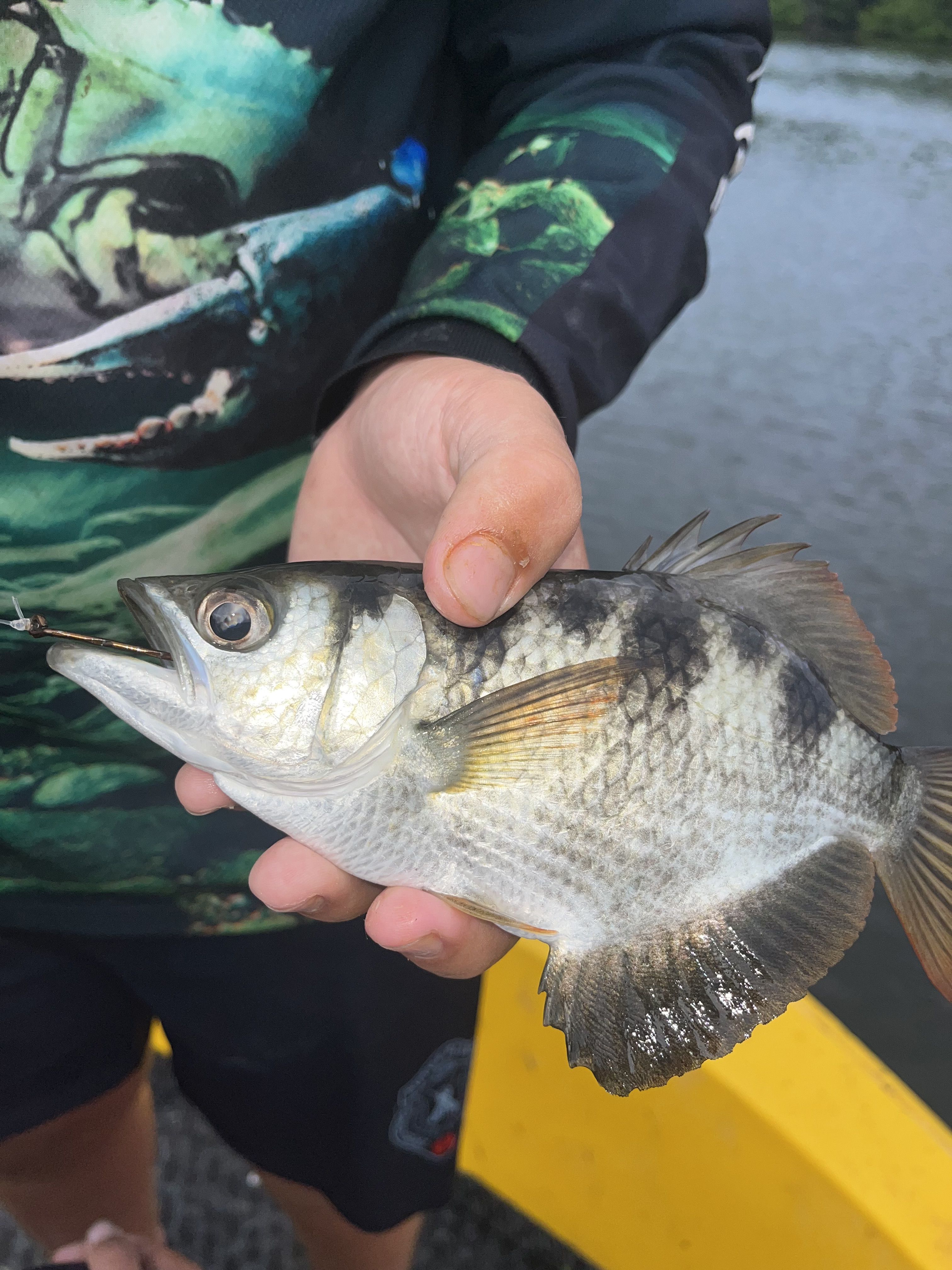 Weipa 2025 - Saltwater Fishing Reports - DECKEE Community