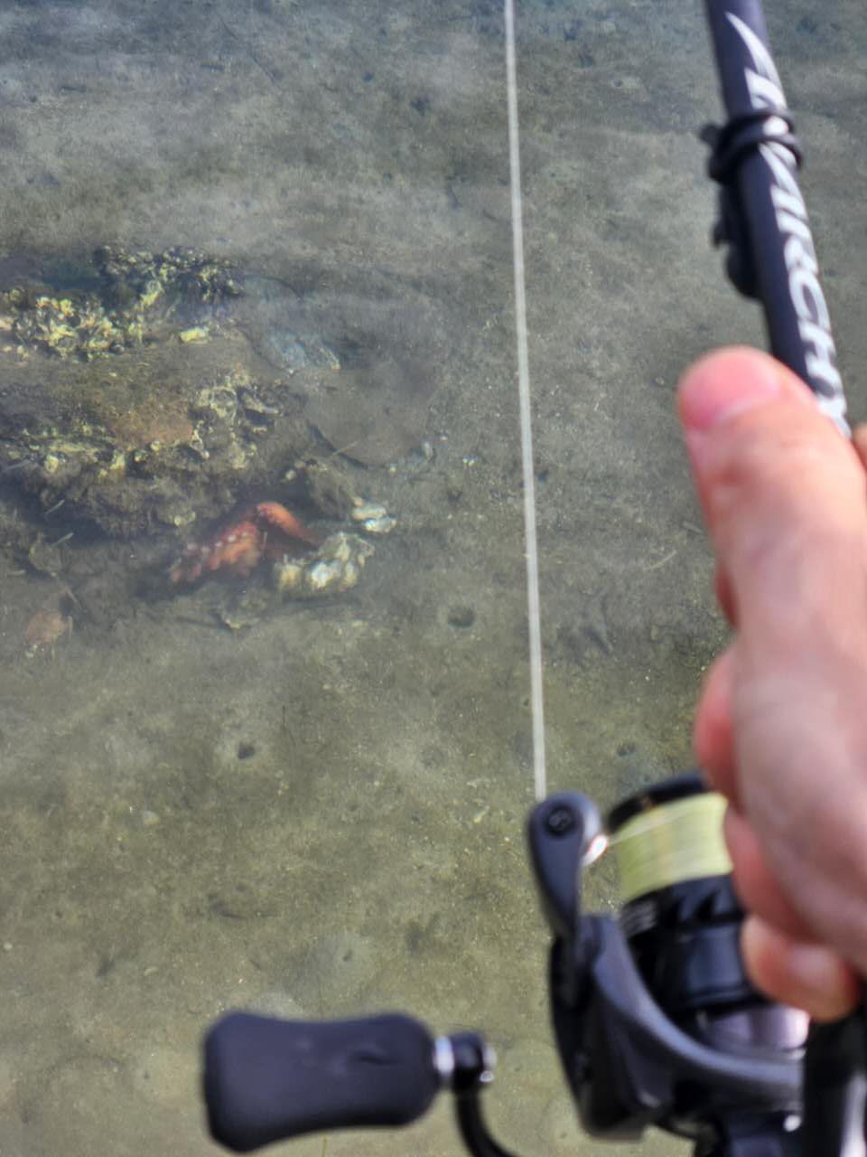 When fishing is not only about fishing... - Saltwater Fishing Reports ...