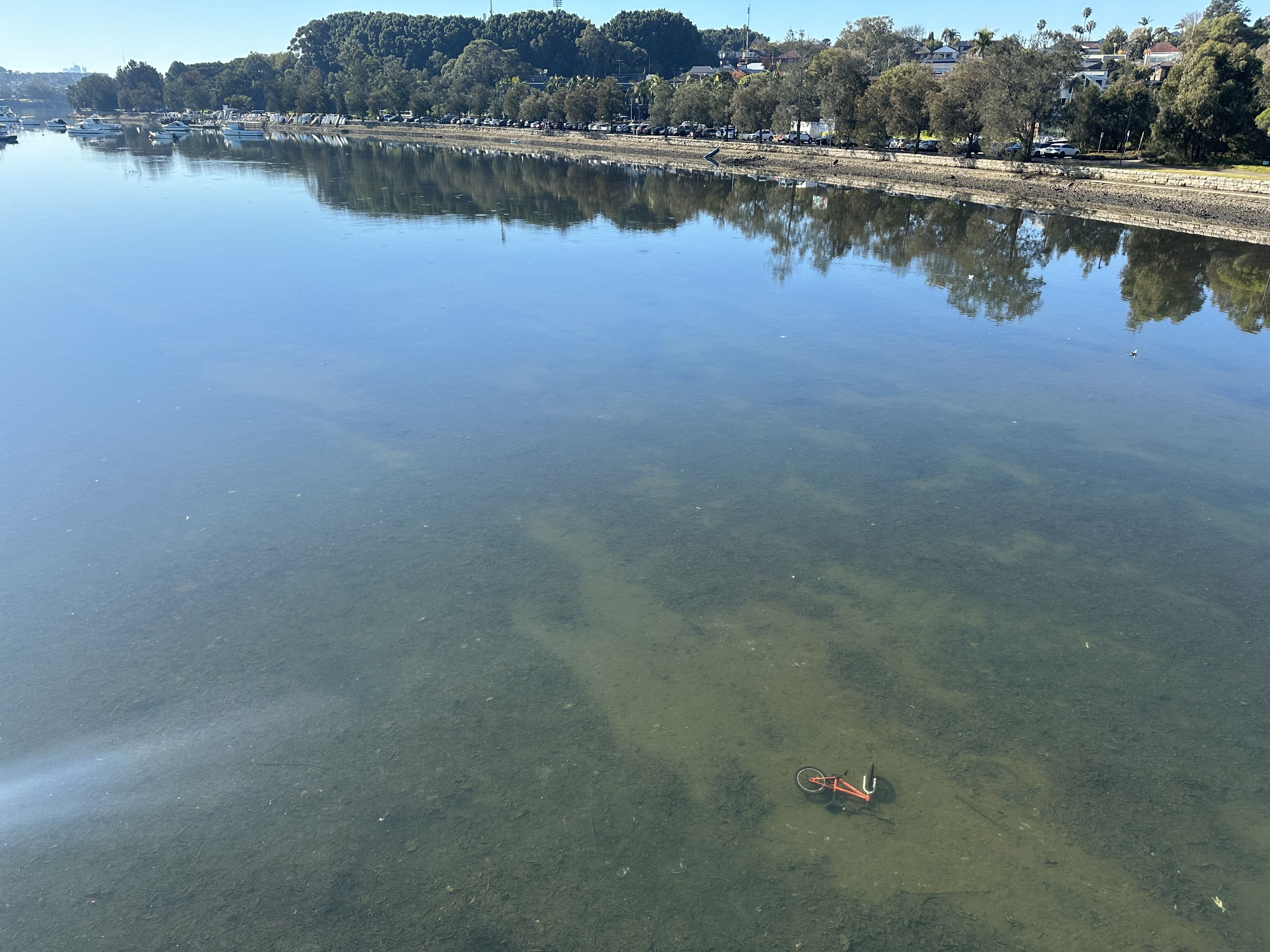 A very brief report for Hawthorn canal - Saltwater Fishing Reports ...