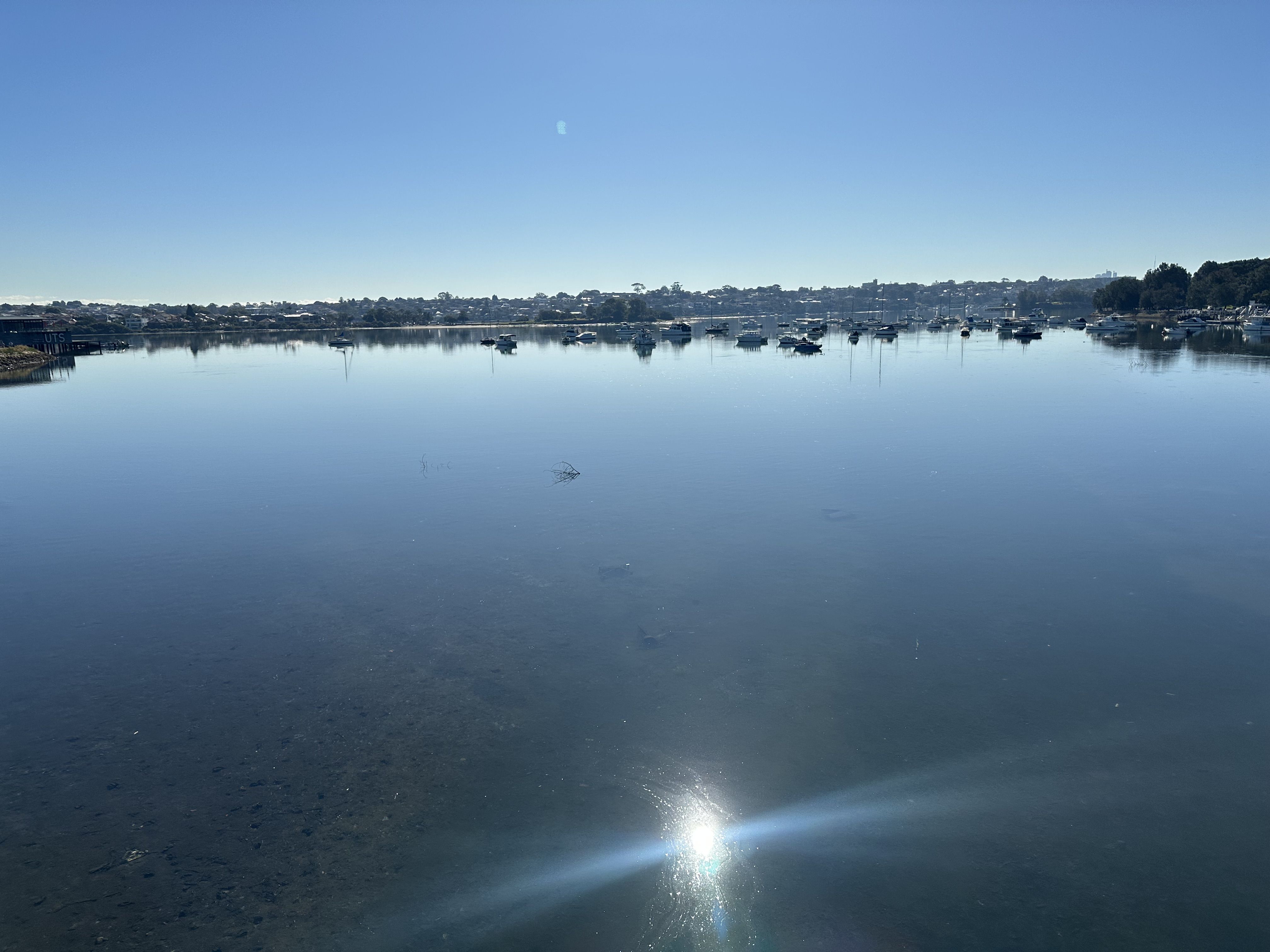 A very brief report for Hawthorn canal - Saltwater Fishing Reports ...